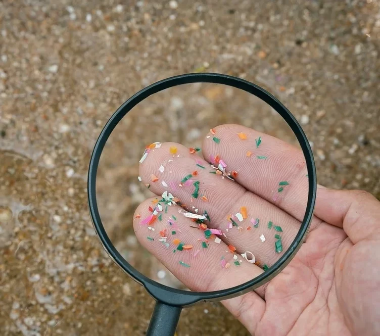 What percentage of microplastic do we eat, and how dangerous is it to ...