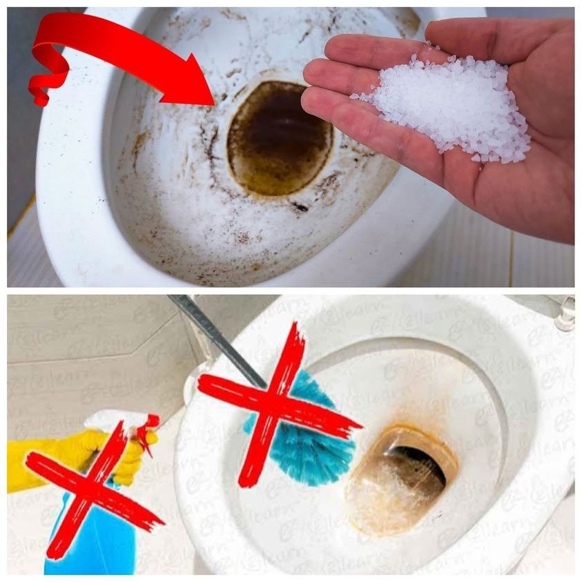 How to have a white and shiny toilet in just a few seconds ...